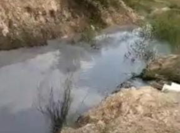 MIRIS…!!! EMBUNG DAN SUNGAI SERTA EKOSISTEM, TERCEMAR OLEH IPAL PT ...